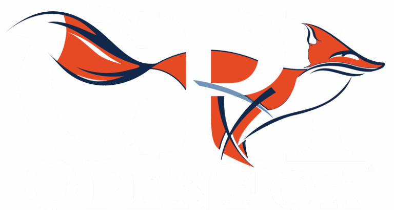 Map Your Existing Controls to the New CJIS Audit Requirements | CPI OpenFox